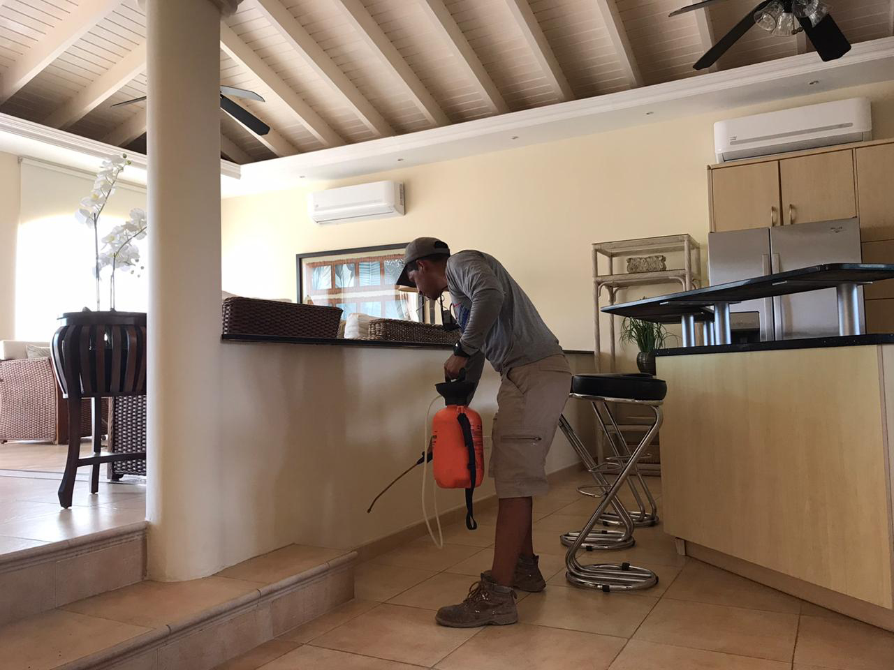 Pest Control Services in Aruba, Professional Pest Control Aruba - DG ...